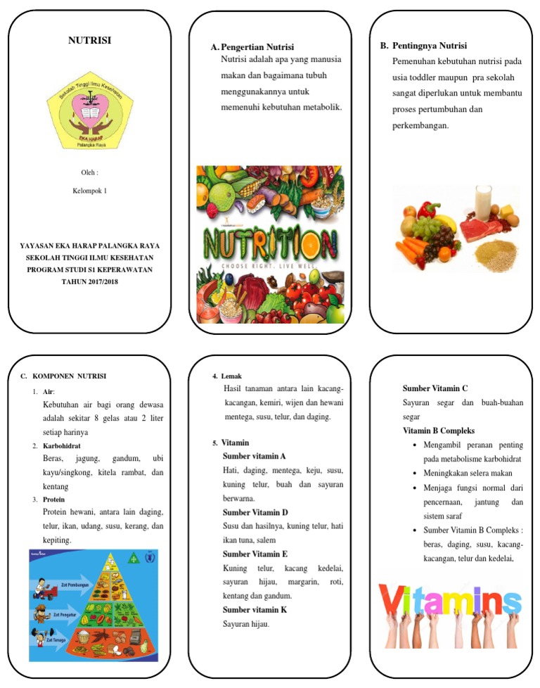 Leaflet Nutrisi | PDF | Kesehatan Holistik