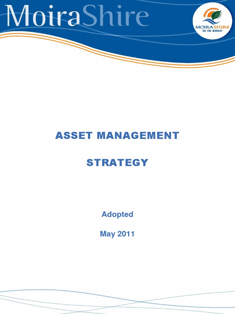 Asset Management Strategy | PDF | Risk Management | Investment Management