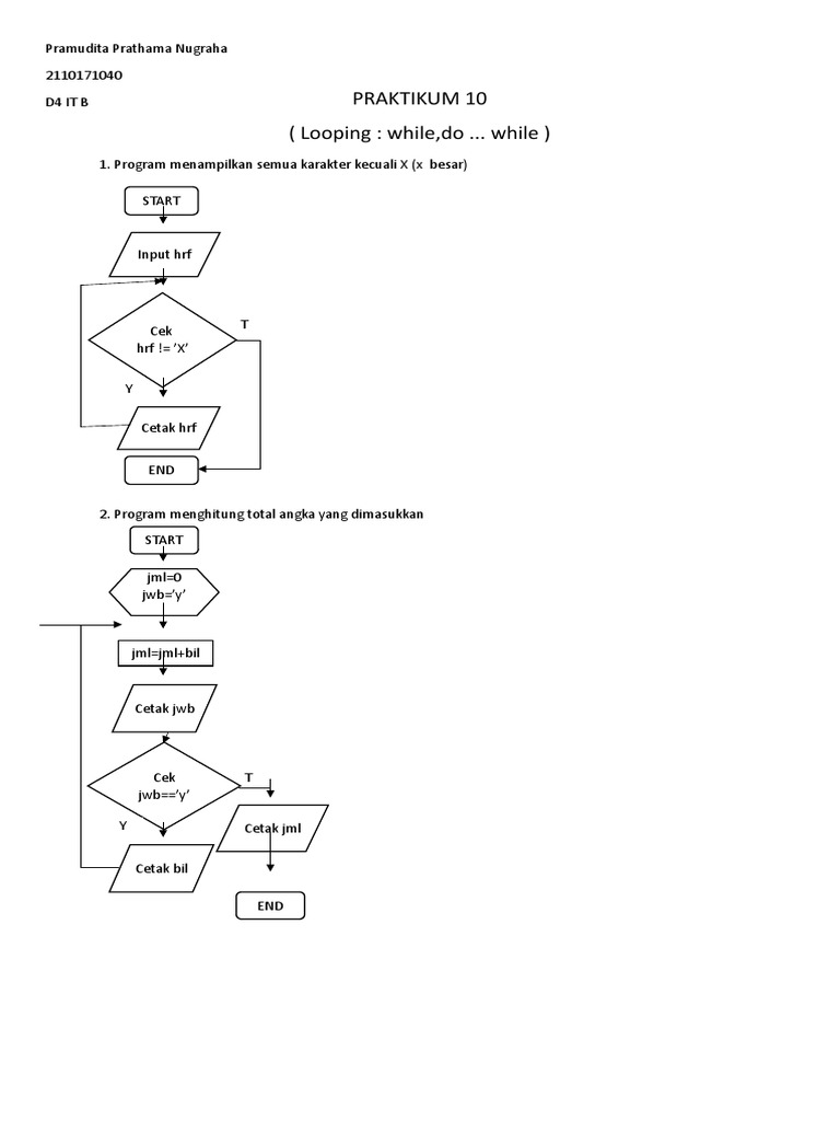 Praktikum 10 (Looping: While, Do ... While) | PDF