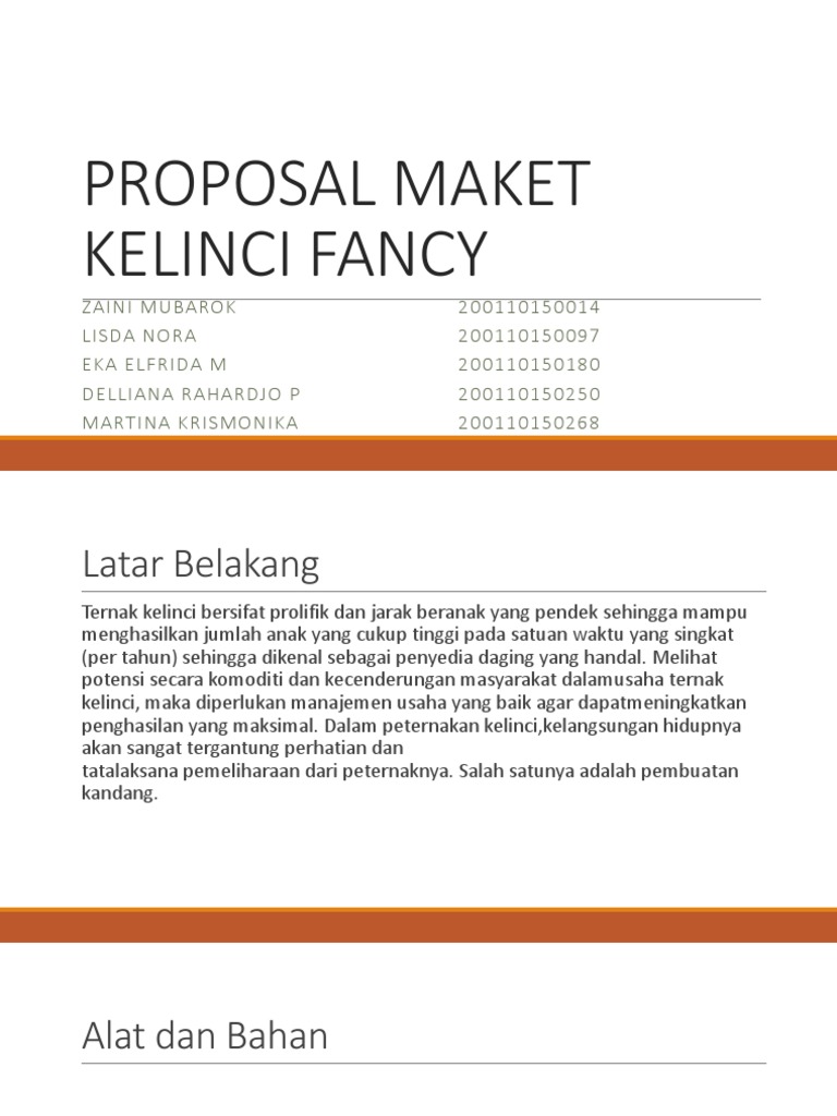 Proposal Maket Kelinci Fancy | PDF