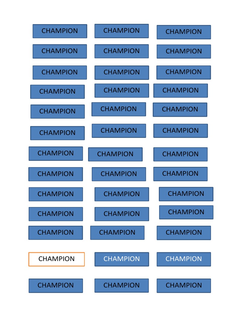 Champion Recognition Document | PDF