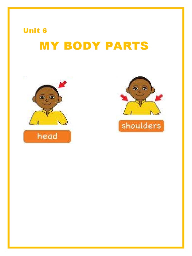 Unit 6 Body Parts | PDF
