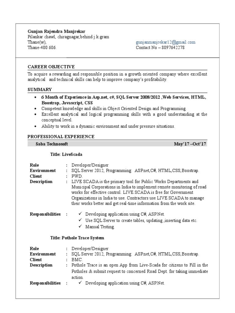 JR - Software Developer Resume | PDF | Application Software | Software ...