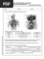 Juego La Oca de Los Alimentos | PDF | Nutrientes | Alimentos