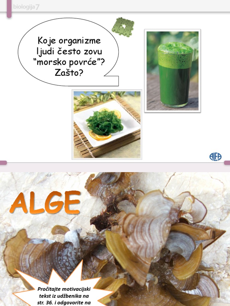Alge | PDF