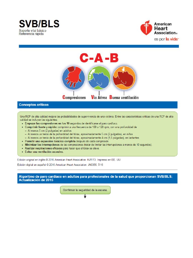 Algoritmos BLS | PDF