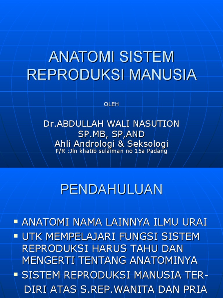 Anatomi Sistem Reproduksi Manusia | PDF