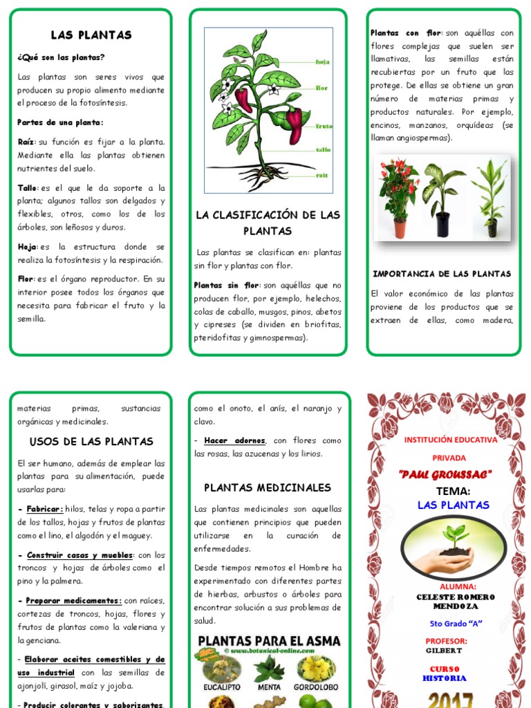 Triptico Las Plantas | Tallo de la planta | Plantas