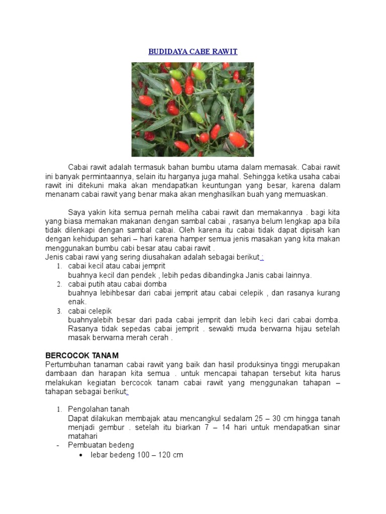 Panduan Budidaya Cabai Rawit | PDF