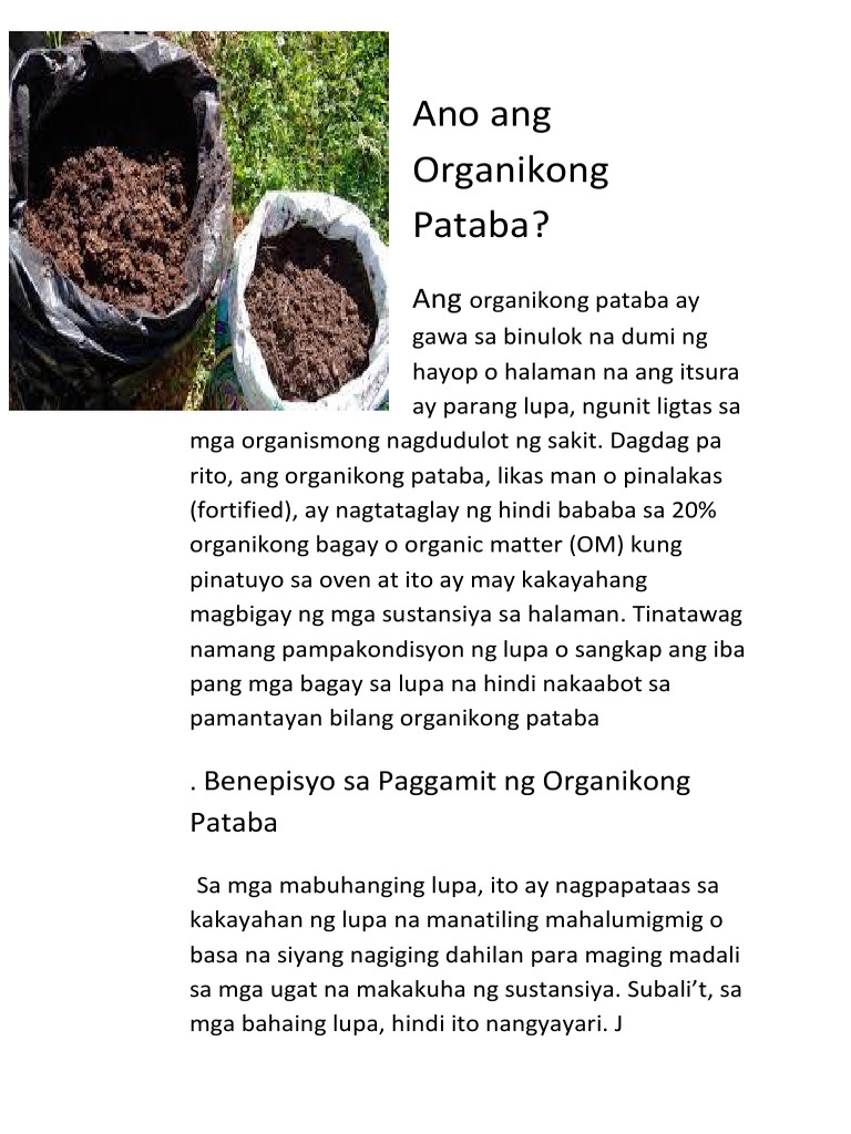 Ano Ang Organikong Pataba