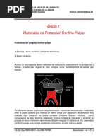 Recubrimiento Pulpar Directo e Indirecto | PDF | Calcio | Química