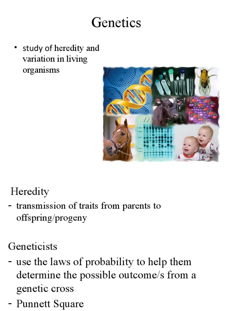 Genetics: - Study of Heredity and Variation in Living Organisms | PDF ...