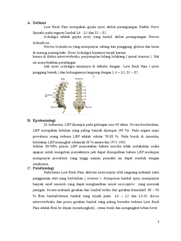 LOW BACK PAIN AND ISCHIALGIA: DEFINITIONS, EPIDEMIOLOGY ...