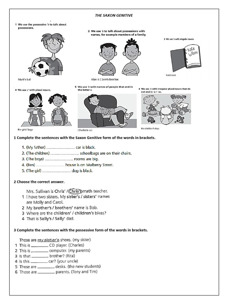 Saxon Genitive Exercises | PDF