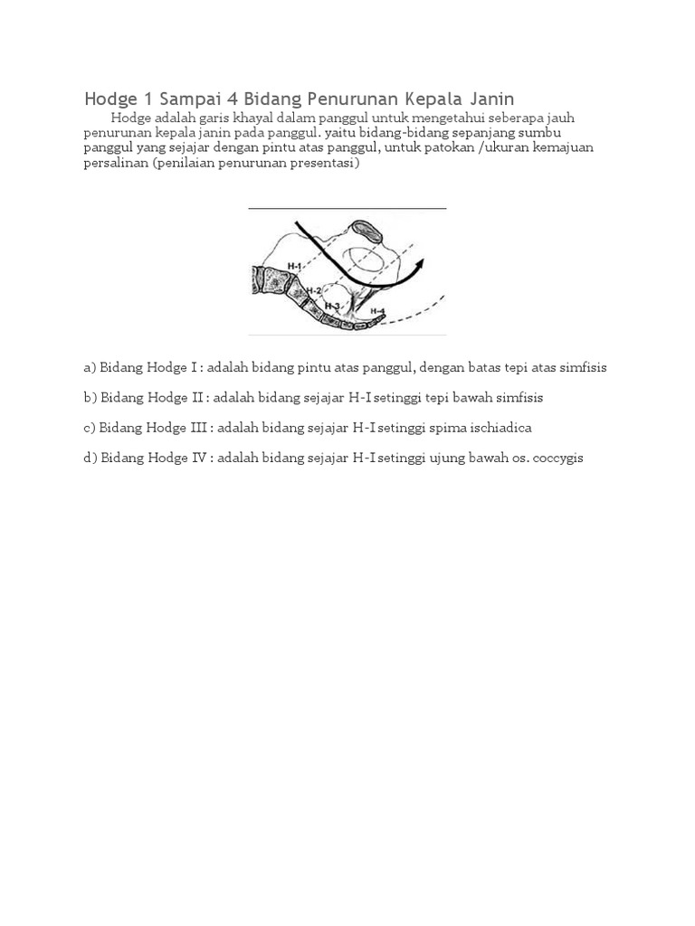 Bidang Hodge | PDF