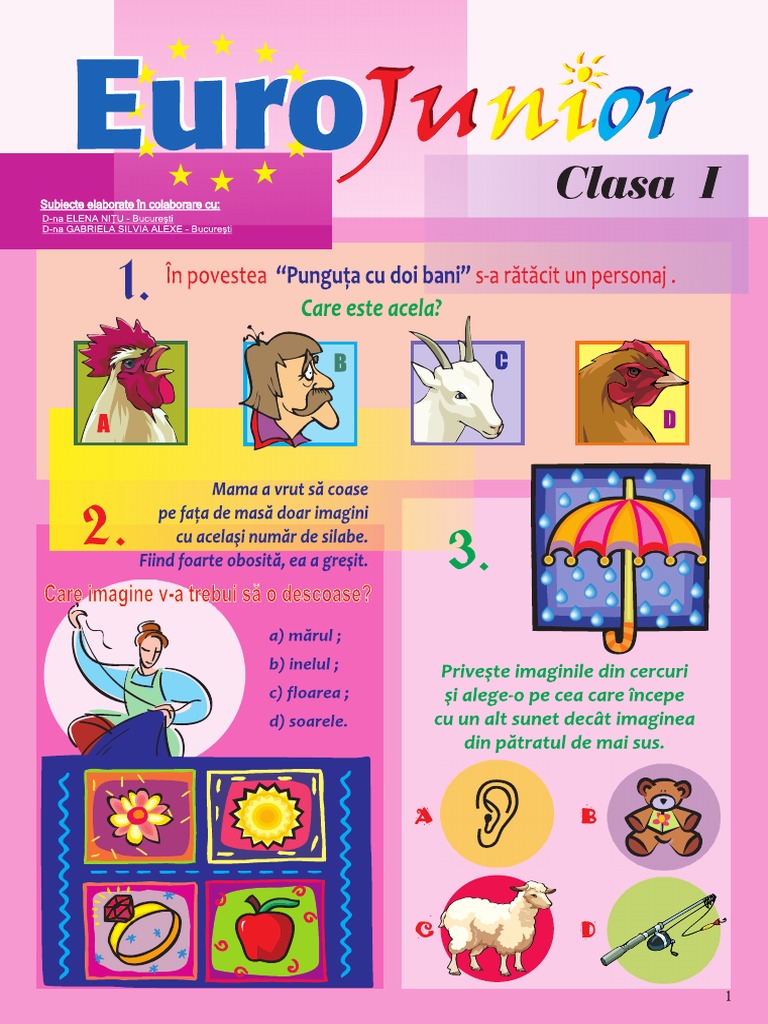 Subiecte Eurojunior cls1 | PDF