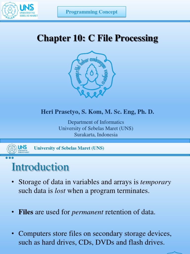 C File Processings | PDF | Data | Computing