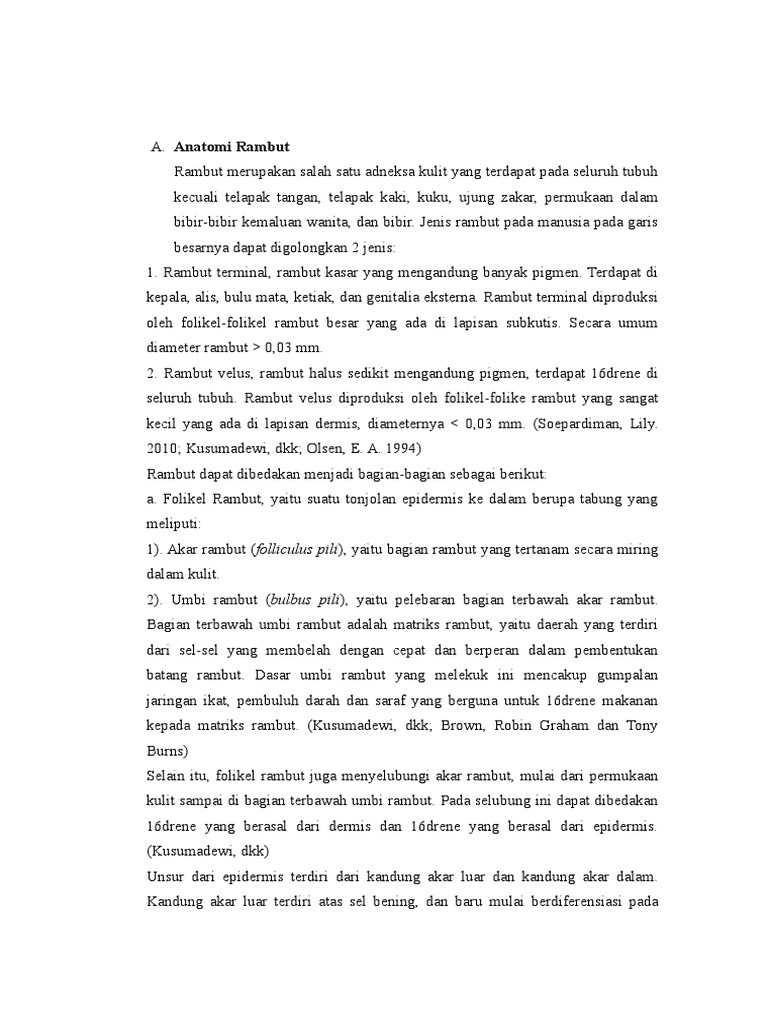 Anatomi Rambut | PDF