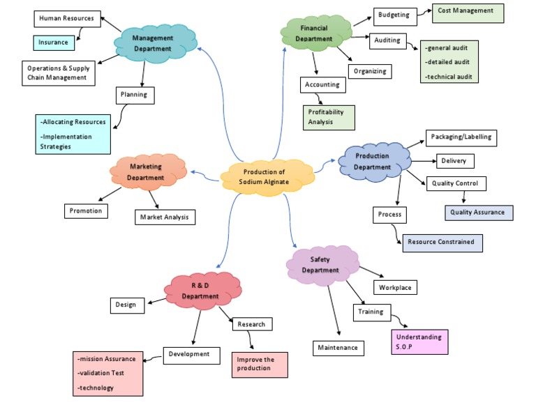 Mind Map | PDF | Cost Accounting | Audit