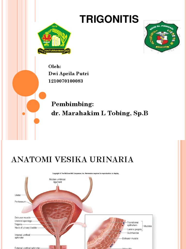 Trigonitis | PDF