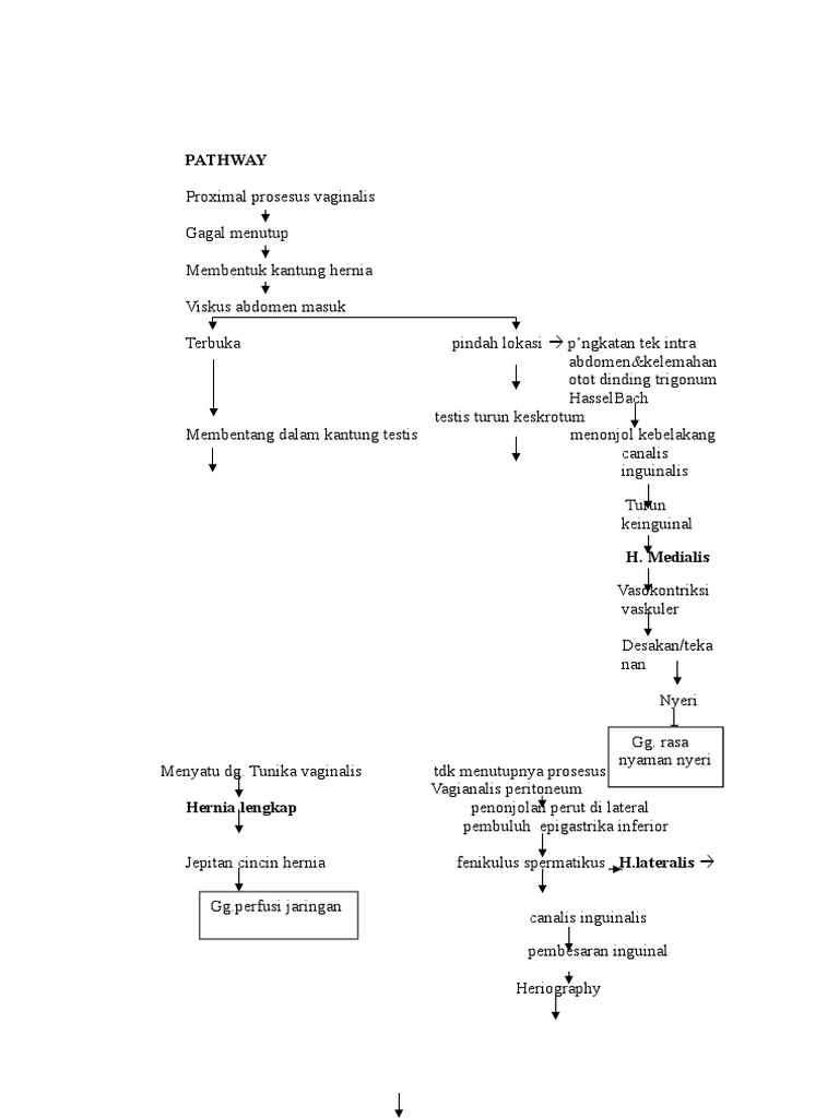Pathway Hernia Inguinalis | PDF