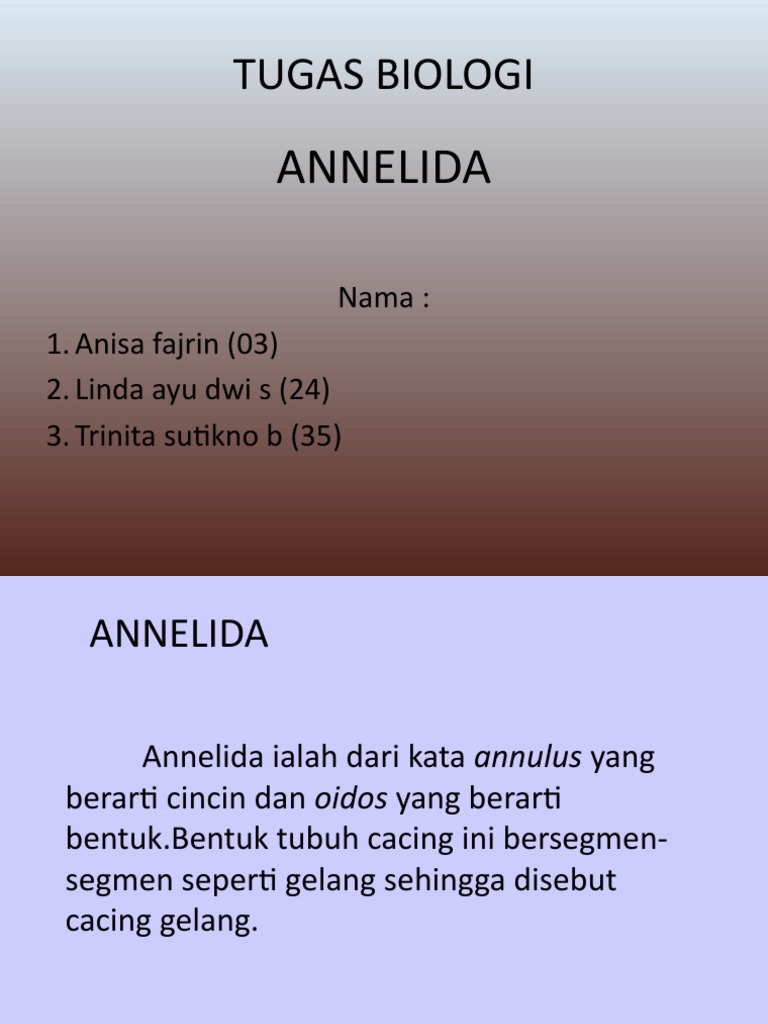 Annelida | PDF