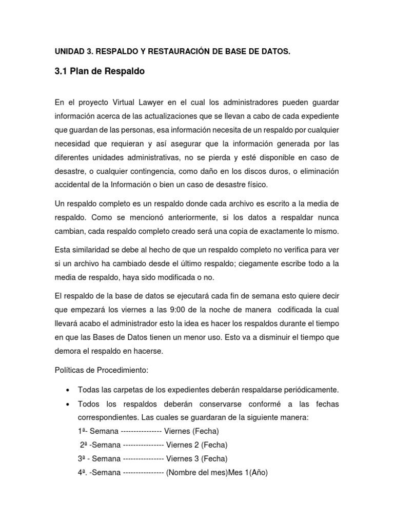 Plan de Respaldo | PDF | Disco duro | Tecnología digital
