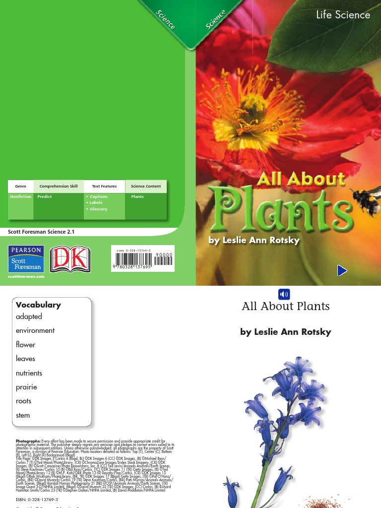 All About Plants | PDF | Trees | Plants