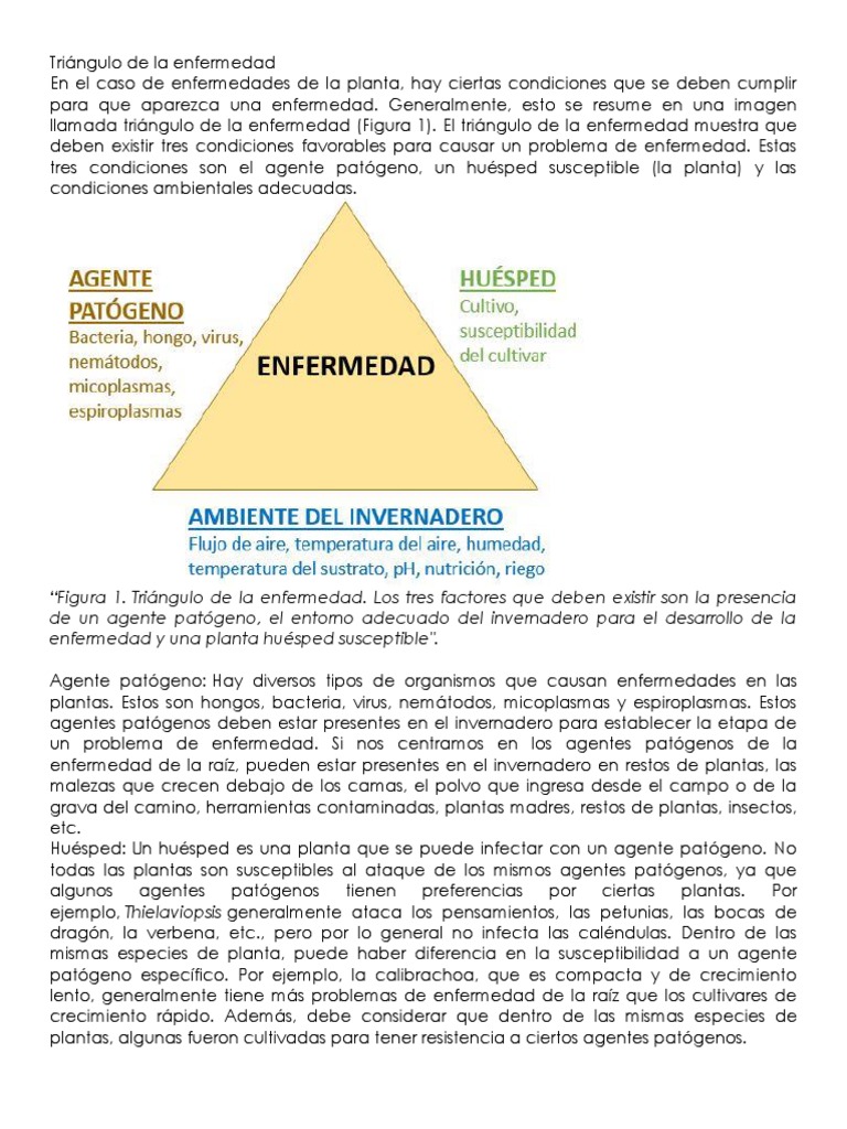 Triángulo de La Enfermedad | Plantas | Riego | Prueba gratuita de 30 ...
