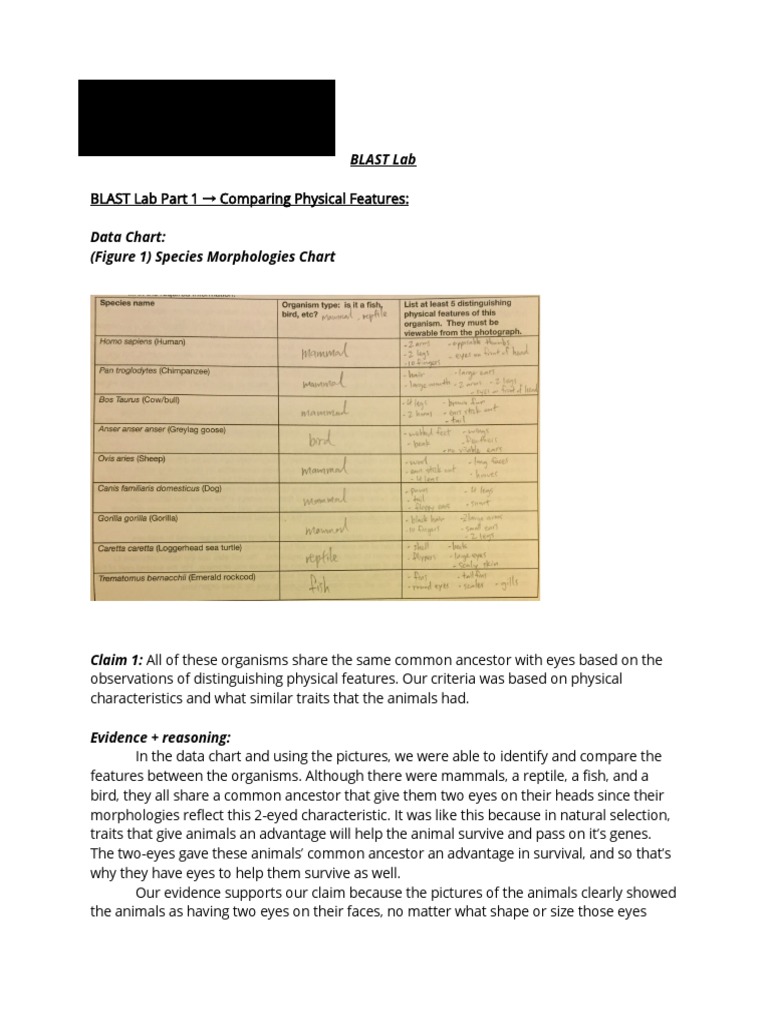 BLAST Lab | PDF | Nature