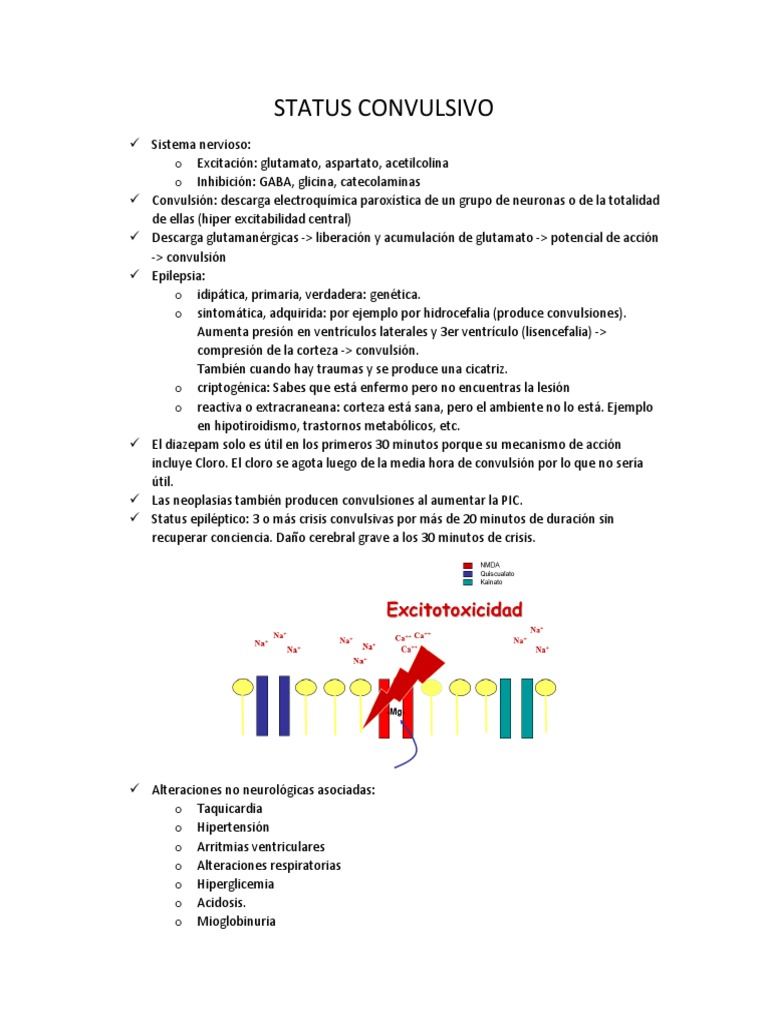 Status Convulsivo - MV | PDF | Especialidades Medicas | Enfermedades y ...