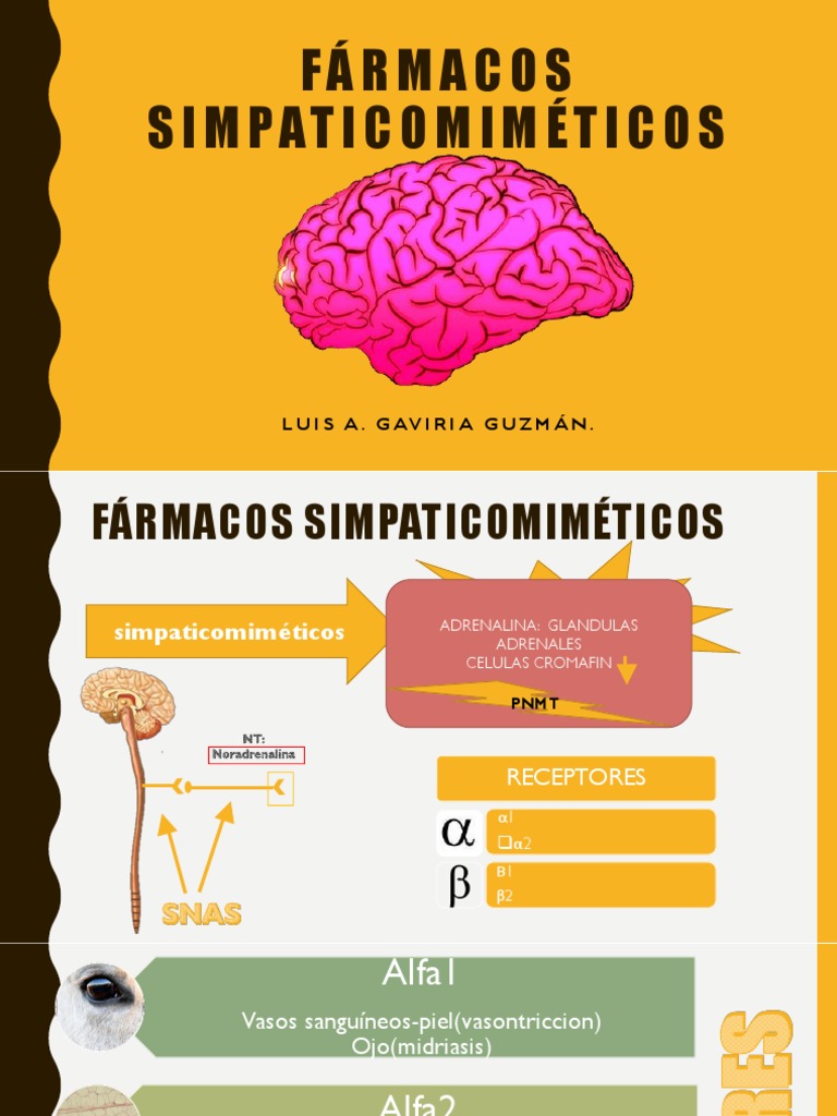 Fármacos Simpaticomiméticos | PDF | Epinefrina | Norepinefrina