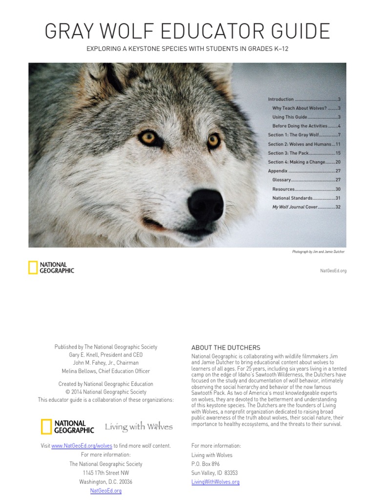 Gray Wolf Educator Guide: Exploring A Keystone Species With Students in ...