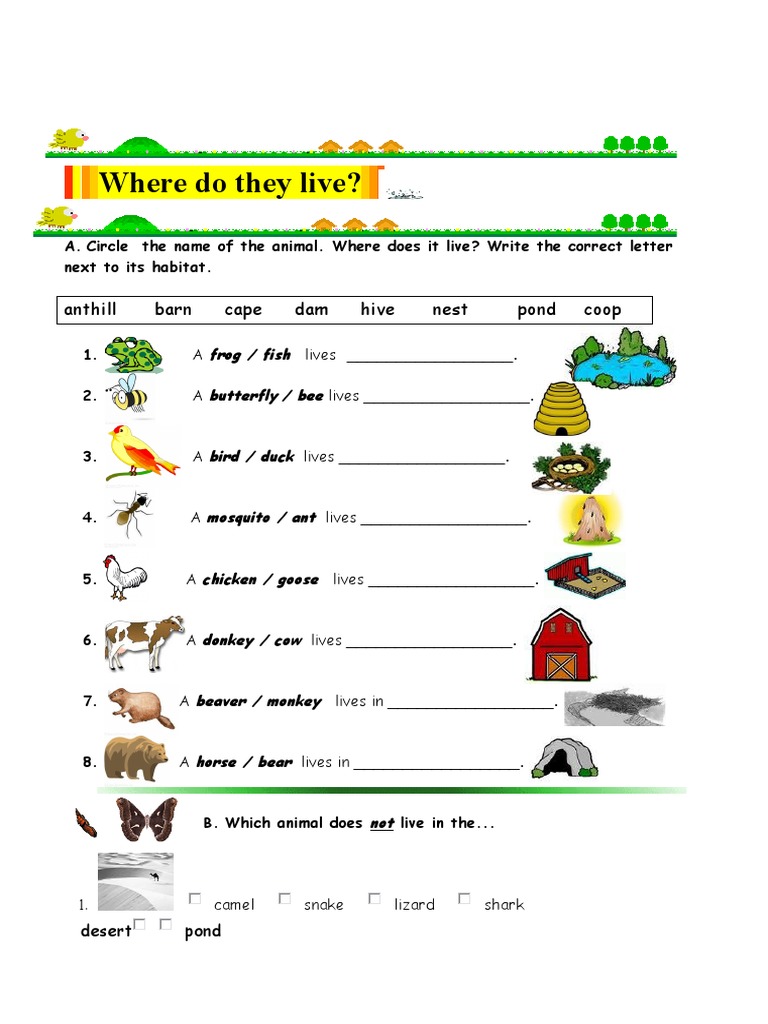 Where Do They Live?: Anthill Barn Cape Dam Hive Nest Pond Coop | PDF ...