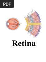 Fundus Diagram Drawing Guide | PDF | Retina | Human Eye