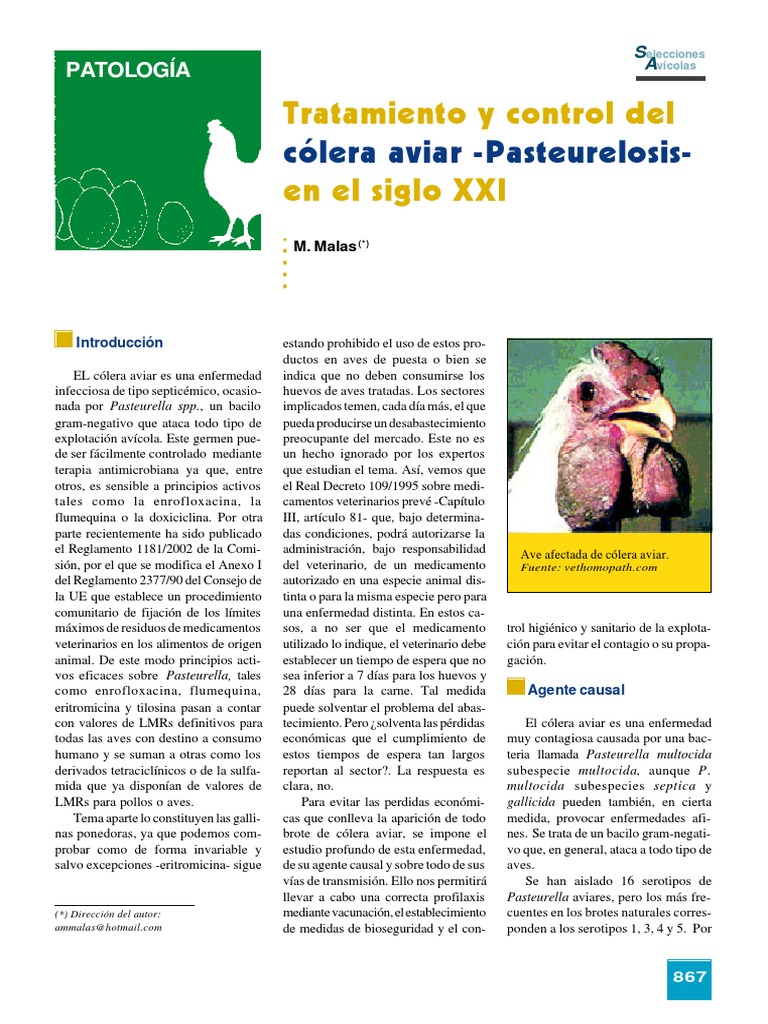 Tratamiento del cólera aviar hoy | PDF | Aves | Antibióticos