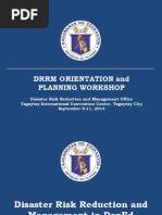 School DRRM Team Organization | PDF | Risk Management | Search And Rescue