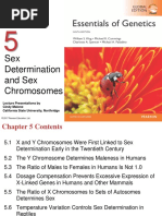 Spawn Writing-2 | PDF | Educational Assessment | Educational Psychology