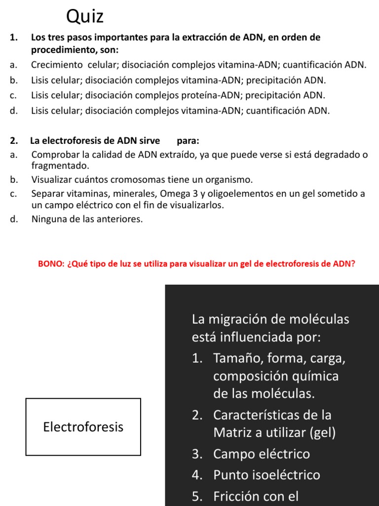 Electroforesis de ADN | PDF | Electroforesis | Química