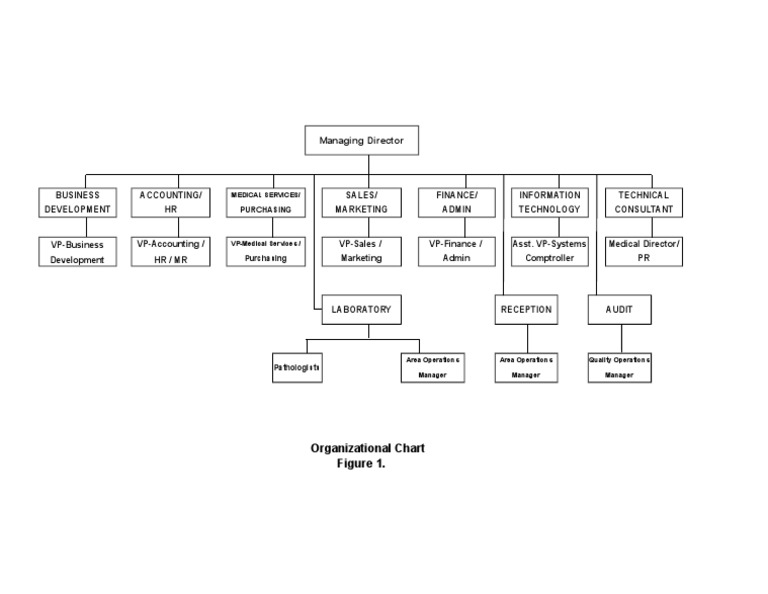 Managing Director Organizational Chart | PDF | Business