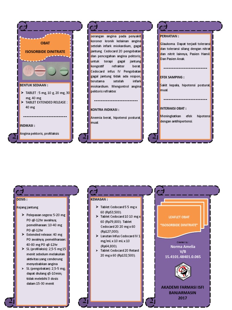 Leaflet Obat Isdn | PDF