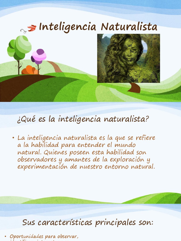 Inteligencia Naturalista