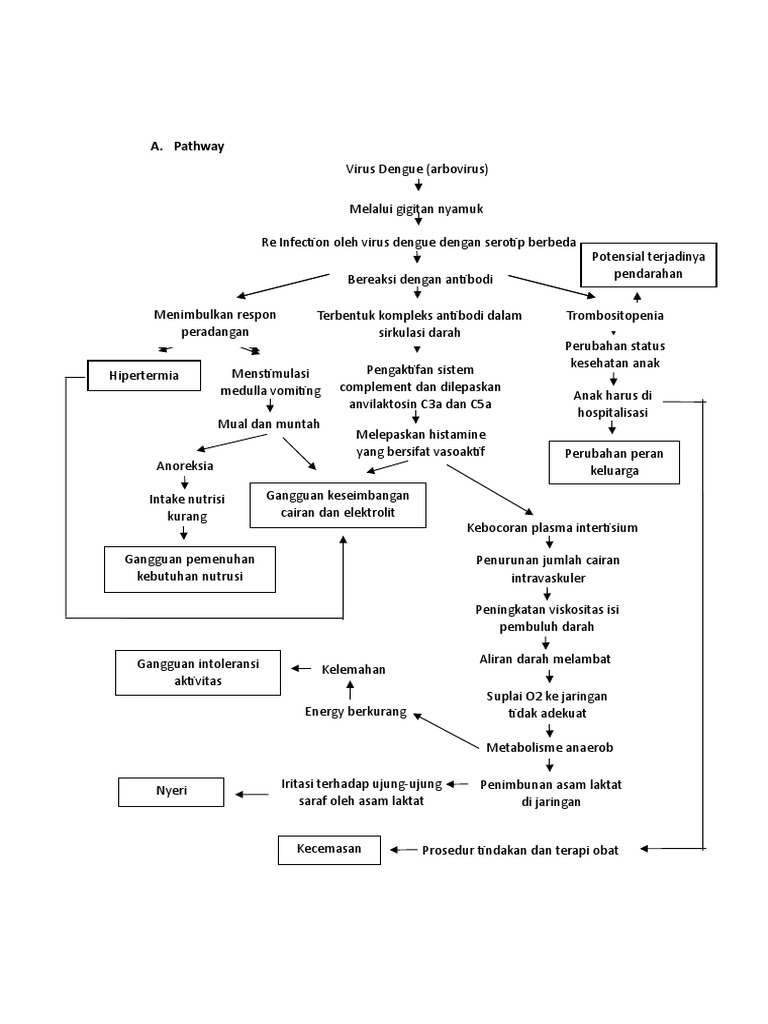 Pathway DHF New | PDF