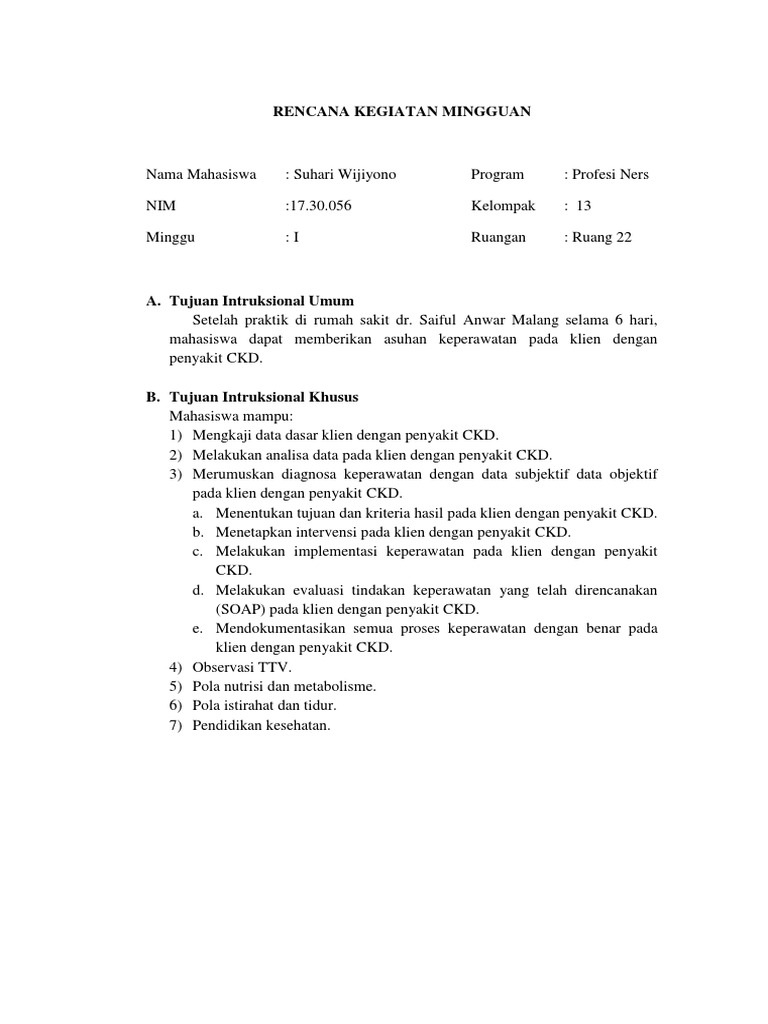 Rencana Kegiatan Mingguan | PDF