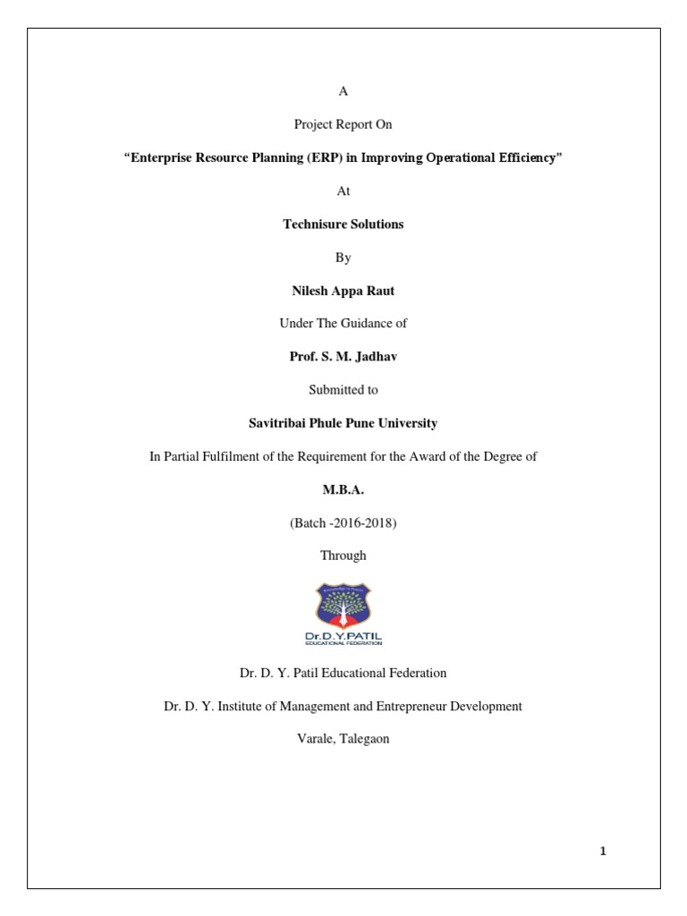 MBA SIP Project - Final - 6!11!17 | PDF | Enterprise Resource Planning ...
