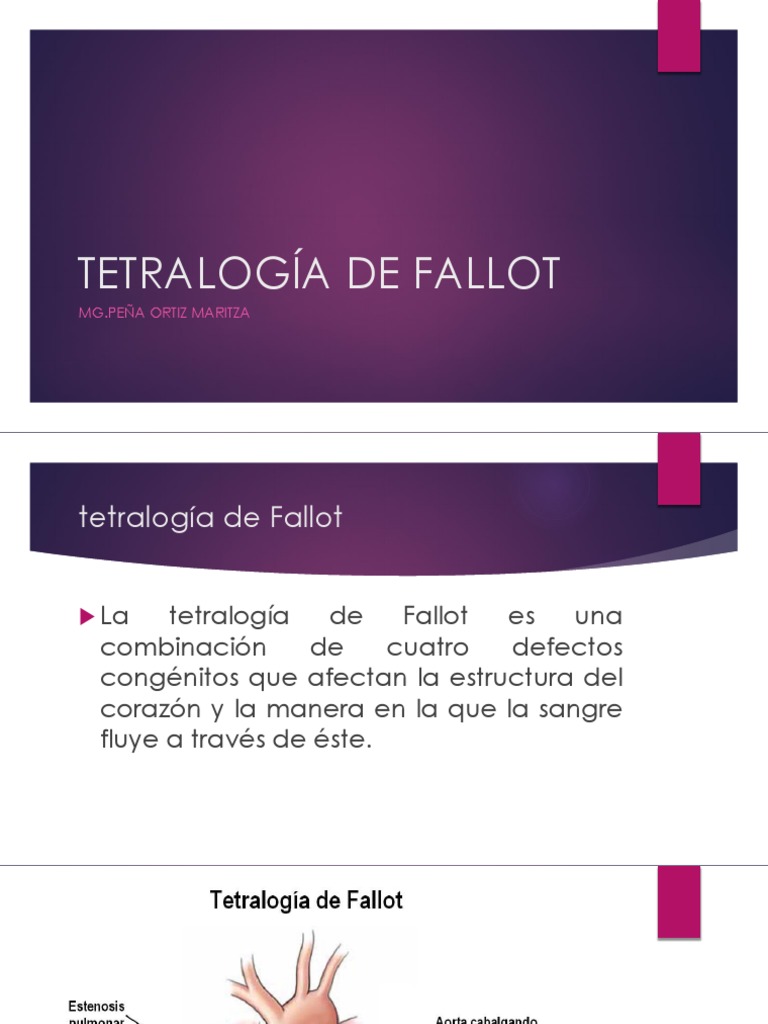 Tetralogía de Fallot | PDF | Corazón | Pulmón