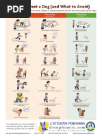 Study Guide for A Dog's Purpose | PDF | Narration | Dogs