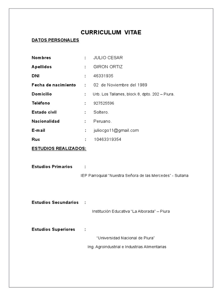 Curriculum Vitae - Julio Cesar | Descargar gratis PDF | Microsoft | Business