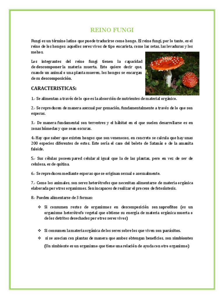 Reino Fungi | PDF | Hongo | Plantas