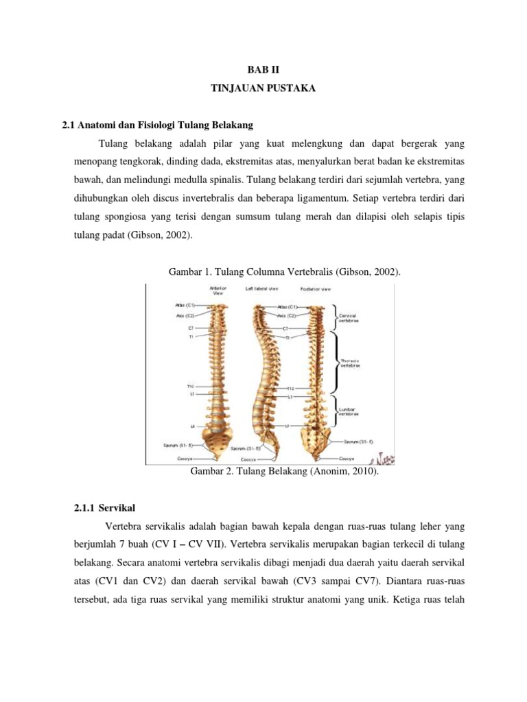 Asuhan Keperawatan Kritis 2 (Bagian 2) Trauma Medula Spinalis | PDF